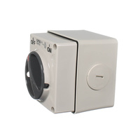 Isolating Switch 3P 32A 250V Grey 56SW332